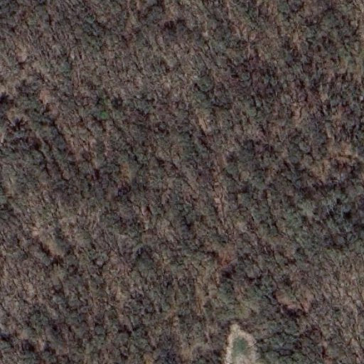 A Shau Valley WMA Map by DavidSieberg | Avenza Maps