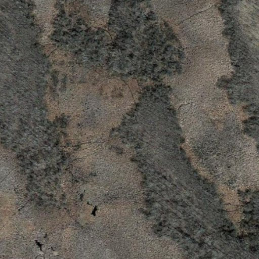 Alces WMA Map by DavidSieberg | Avenza Maps