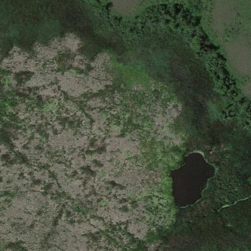 Alice Hamm WMA Map by DavidSieberg | Avenza Maps