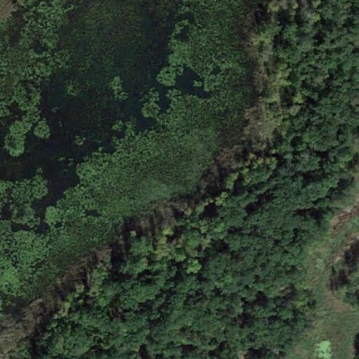 Almora WMA Map by DavidSieberg | Avenza Maps