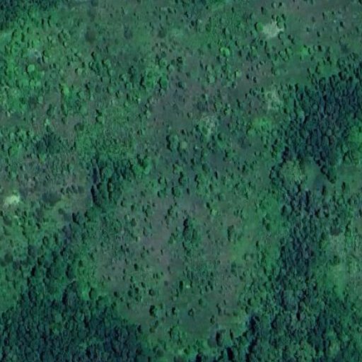 Big Woods Heritage Forest WMA Map by DavidSieberg | Avenza Maps