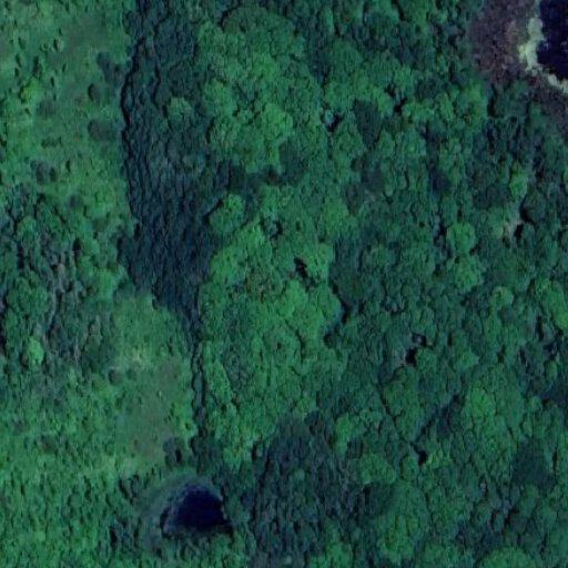 Big Woods Heritage Forest WMA Map by DavidSieberg | Avenza Maps