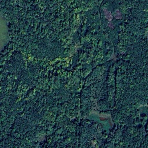 Callaway WMA Map by DavidSieberg | Avenza Maps