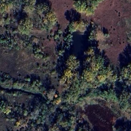 Chosen Valley WMA Map by DavidSieberg | Avenza Maps