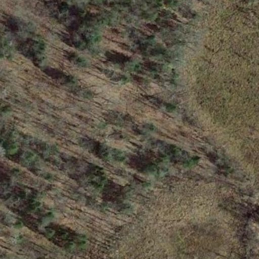 Clearwater V & S 9 WMA Map by DavidSieberg | Avenza Maps