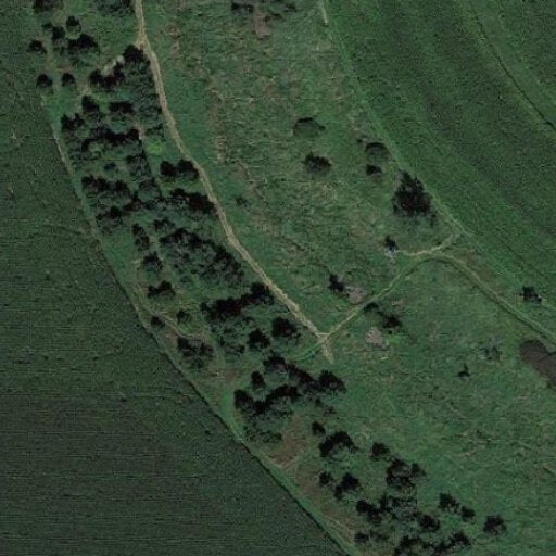 Coon Lake Marsh WMA Map by DavidSieberg | Avenza Maps