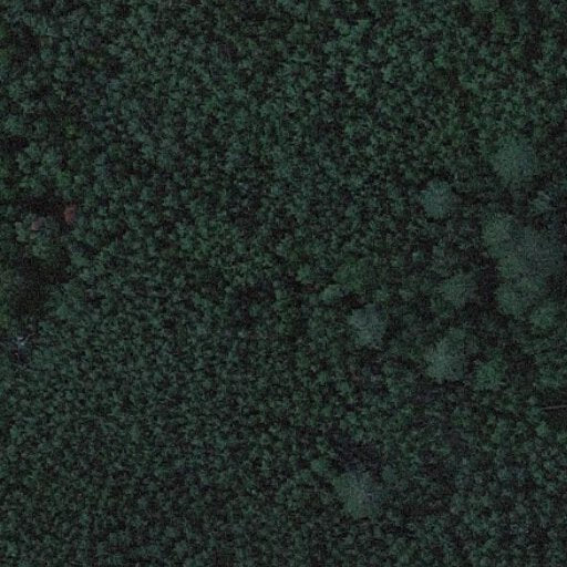 Daniel Lake WMA Map by DavidSieberg | Avenza Maps