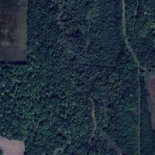 Gully WMA Map by DavidSieberg | Avenza Maps