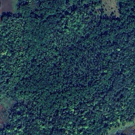 Indian Jack Lake WMA Map by DavidSieberg | Avenza Maps