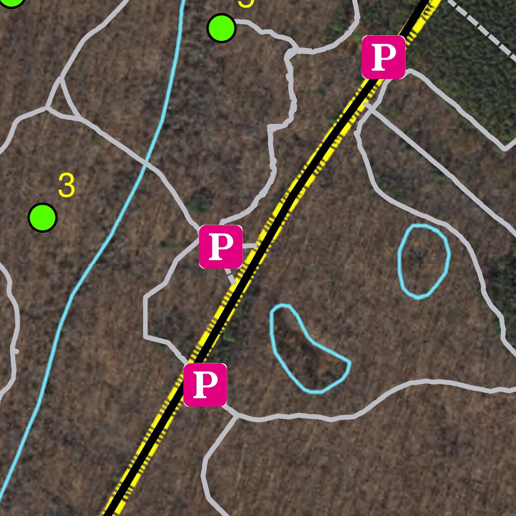 Delaware Forest Serv, Blackbird State Forest, Tybout Tract Hunting Map ...