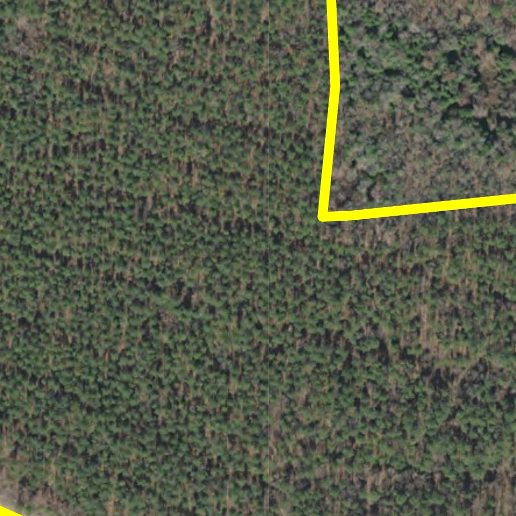 Delaware Forest Serv, Redden State Forest, Day tract Map by Delaware ...