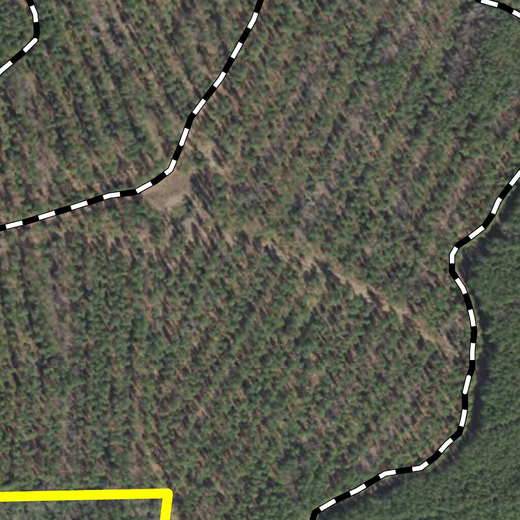 Delaware Forest Serv, Redden State Forest, Long tract Map by Delaware ...