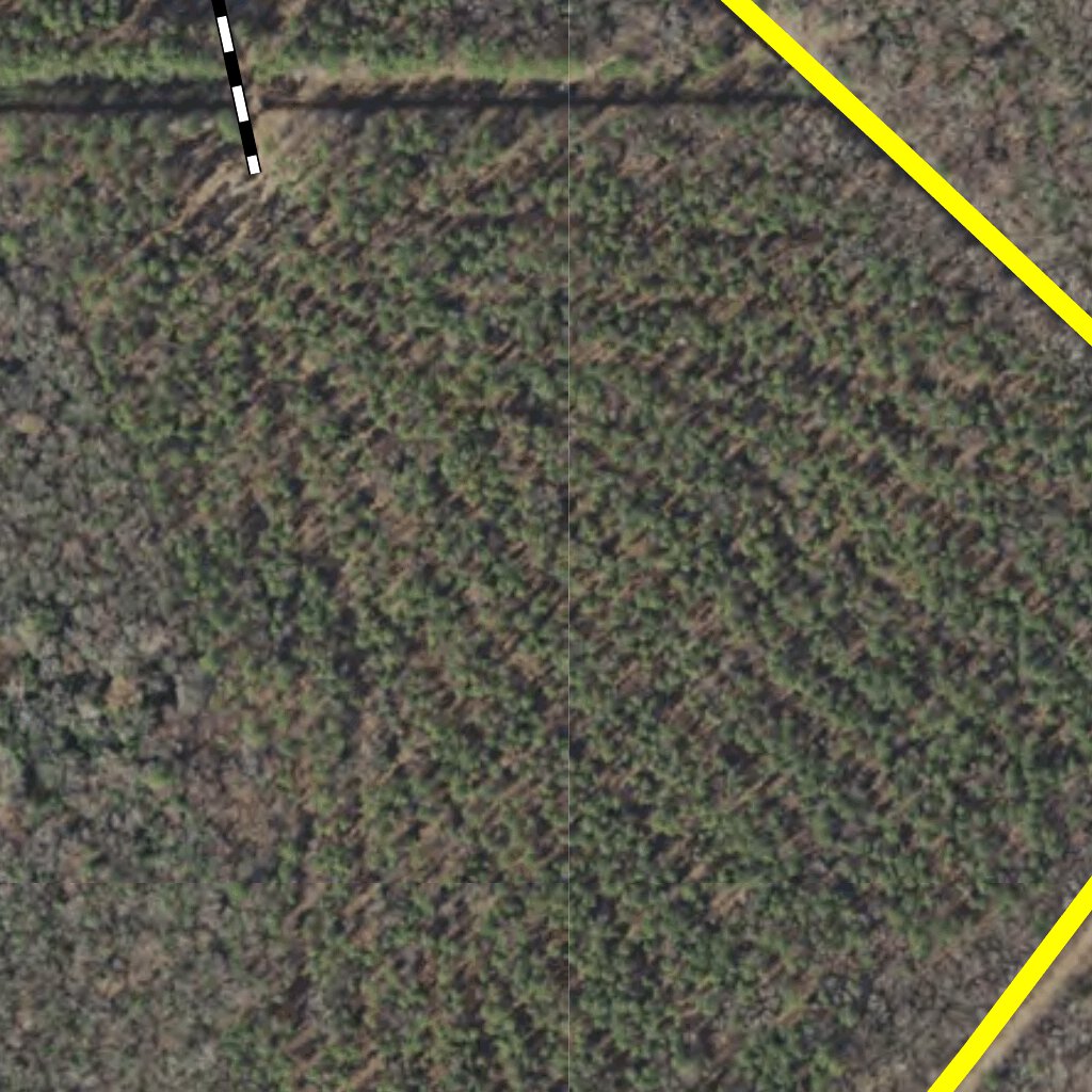 Delaware Forest Serv, Redden State Forest, Owens tract Map by Delaware ...