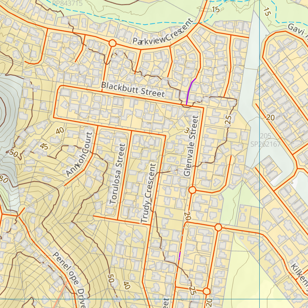 Carbrook (9542-421) Map by Department of Natural Resources and Mines ...