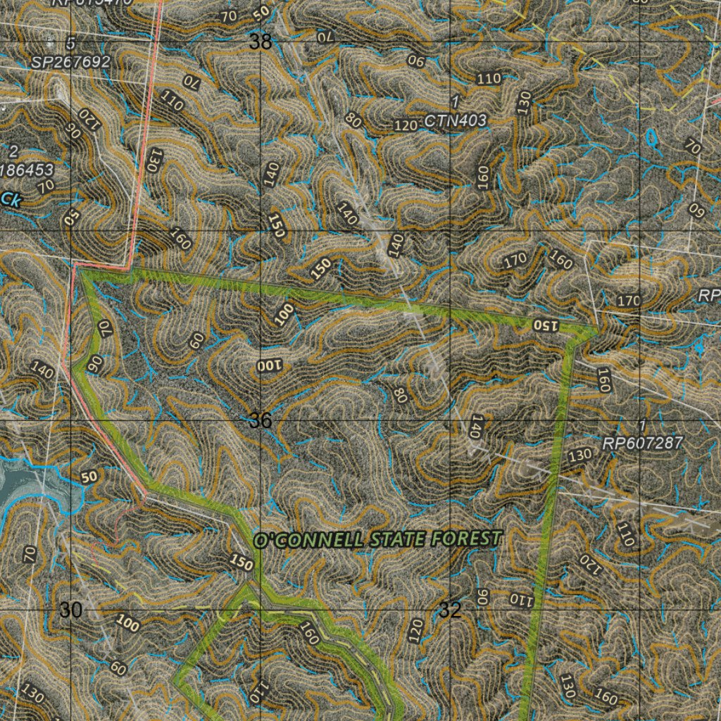 Benaraby (9149-1i) Map by Department of Resources | Avenza Maps