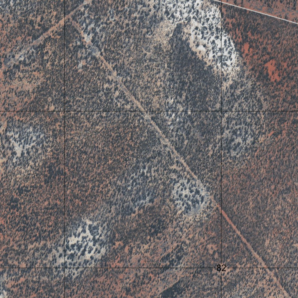 Bollon (8341-13i) Map by Department of Resources | Avenza Maps