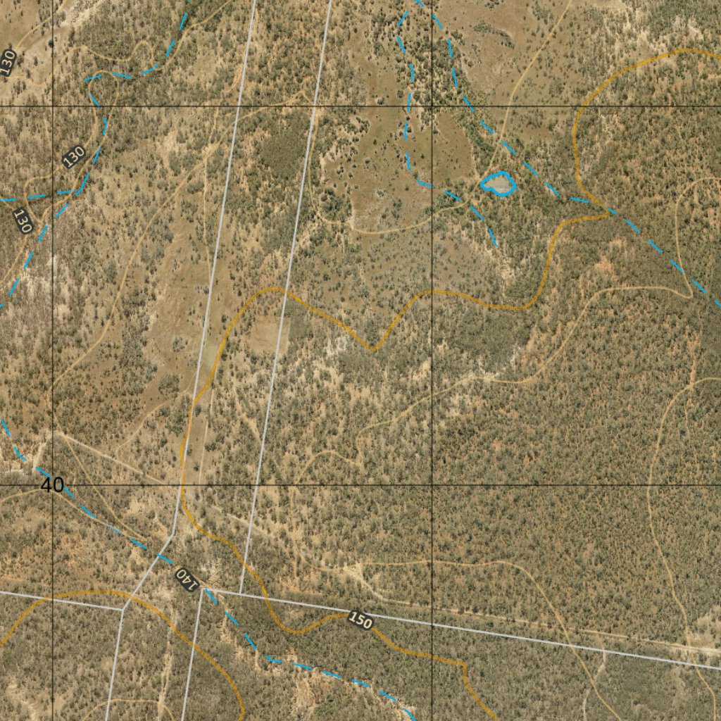 Dingo (8750-13i) Map by Department of Resources | Avenza Maps