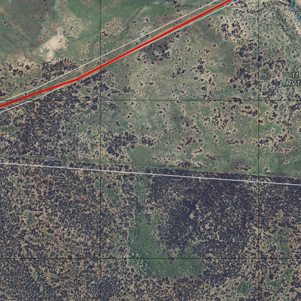 Isisford (7749-42i) Map by Department of Resources | Avenza Maps