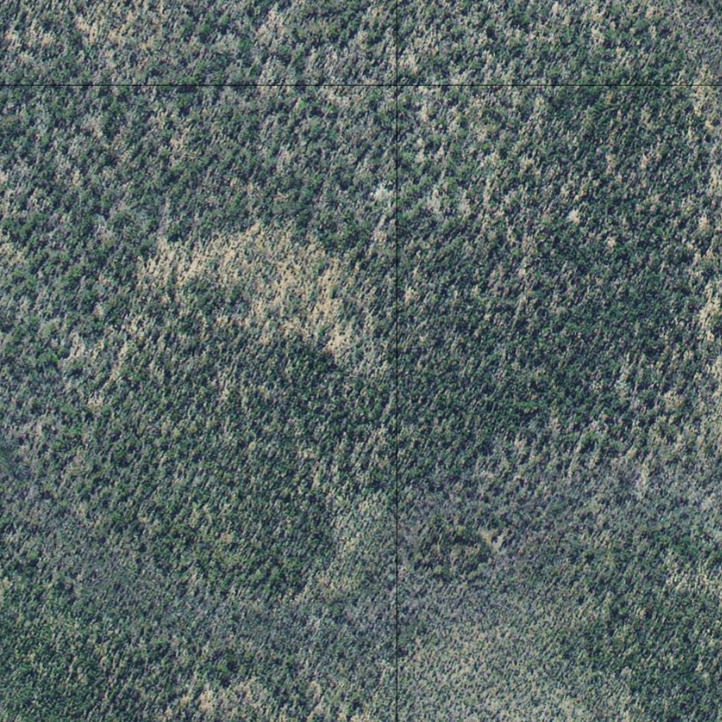 Jack Lakes (7768-223i) Map by Department of Resources | Avenza Maps