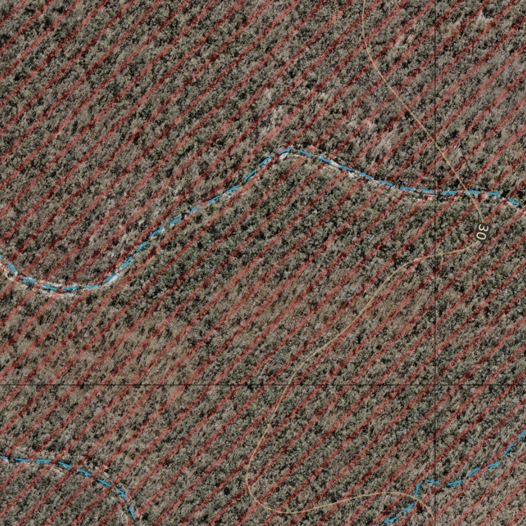 Waratah (8953-323i) Map by Department of Resources | Avenza Maps