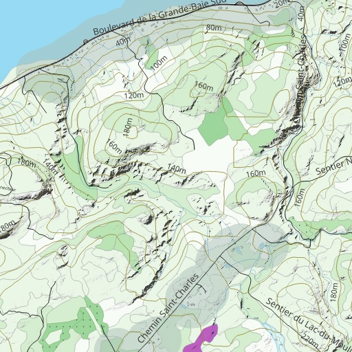 FN48OG Lac du Rat Musque ((Hunt-A-Moose)) Map by Hunt-A-Moose | Avenza Maps