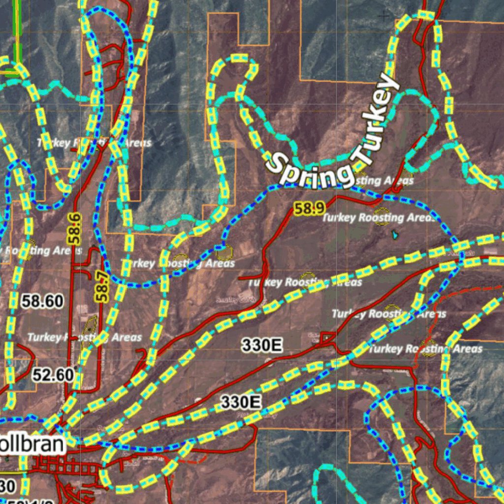 Colorado Unit 42 Turkey, Goose, and Pheasant Concentration Map by ...
