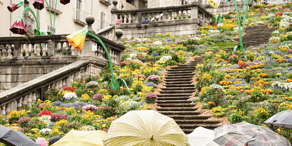 Top 6 Flower Festivals to Visit this Season | Avenza Maps