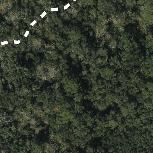 Dutton Island Preserve Map by JaxParks | Avenza Maps