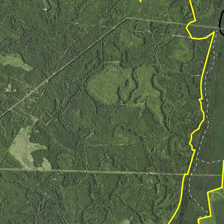 Manchester State Forest WMA Map by Manchester State Forest | Avenza Maps