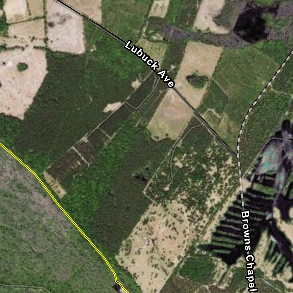 WeeTee State Forest WMA Map by Manchester State Forest | Avenza Maps