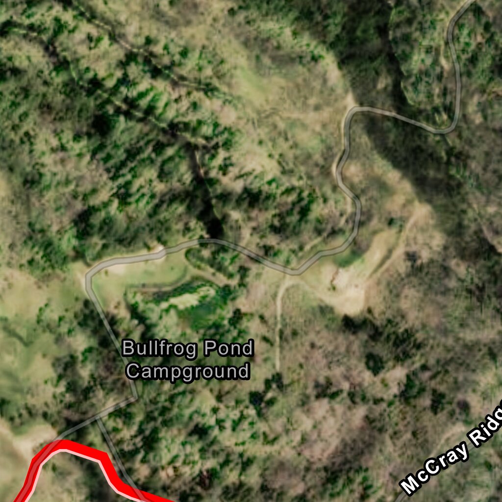 Coastal Redwoods Trailfest Day 1 - Pure Redwoods Map by Maps for Motion ...