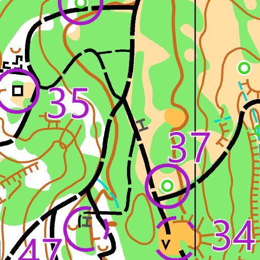 Daylesford Orienteering Courses on Cornish Hill Map by MapSport ...