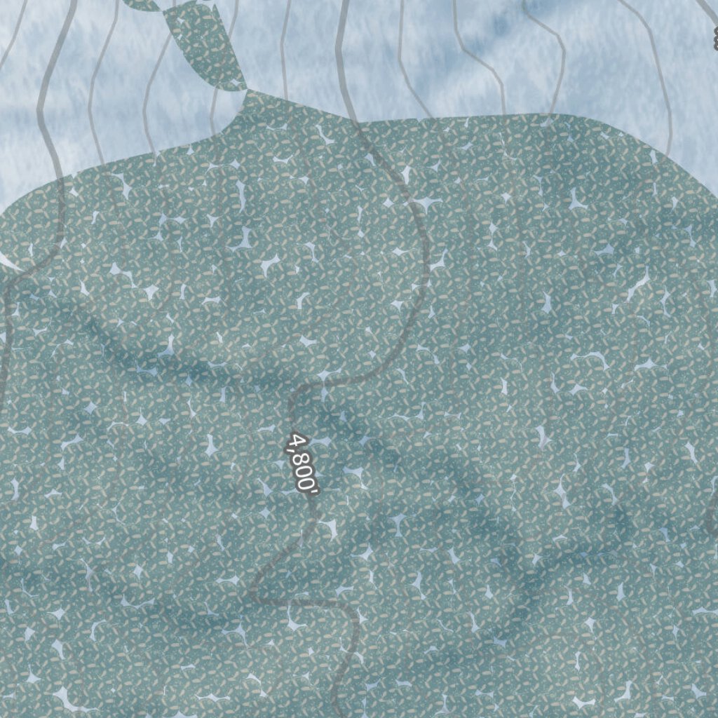 Hull Mountain Backcountry Map by Mapsynergy | Avenza Maps