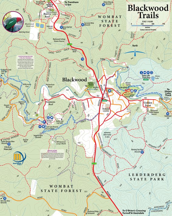 Blackwood Region Map by Meridian Maps | Avenza Maps