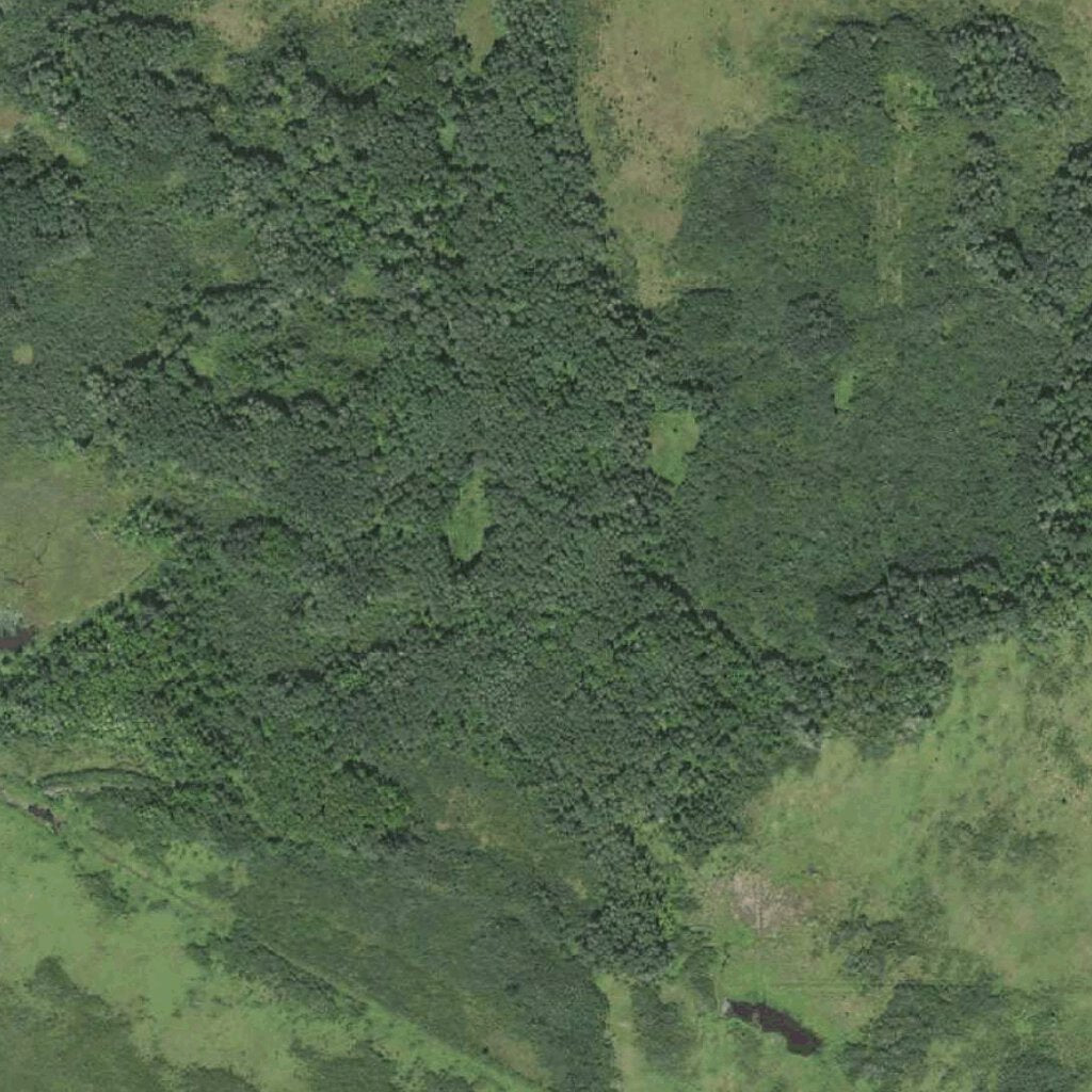 Grayling Marsh WMA HWT 2024 Map by Minnesota Department of Natural ...