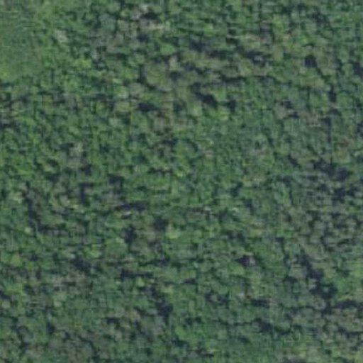 Ripple River WMA East HWT 2024 Map by Minnesota Department of Natural ...