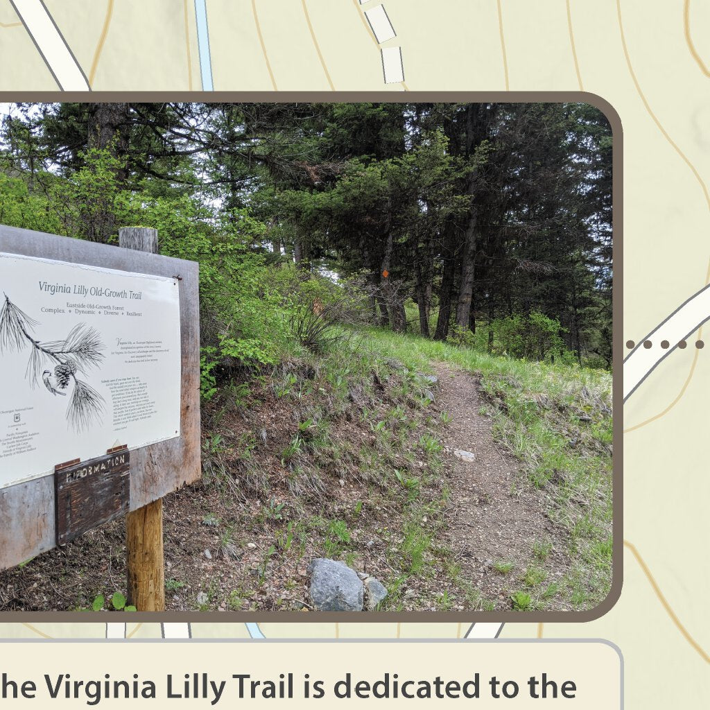 Virginia Lilly Trail Map - Okanogan Highlands Alliance by Mountains To ...