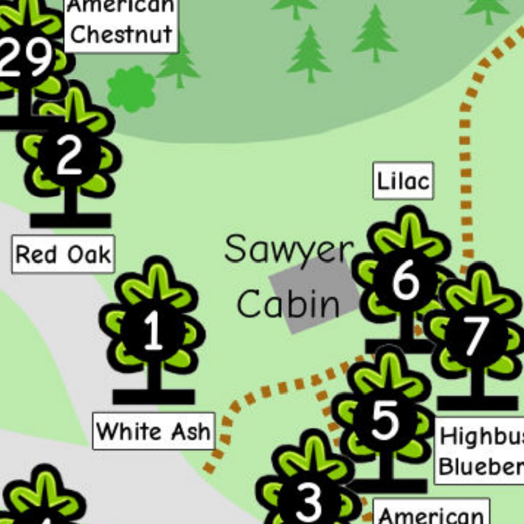 PMEC Tree ID Walk, Amherst NH Map by Nashua Regional Planning ...