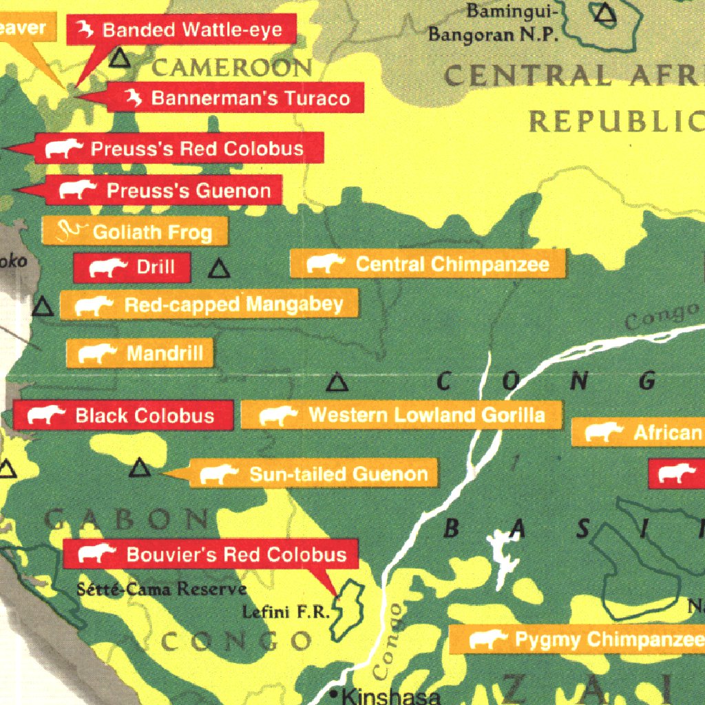 Africa Threatened 1990 Map by National Geographic | Avenza Maps