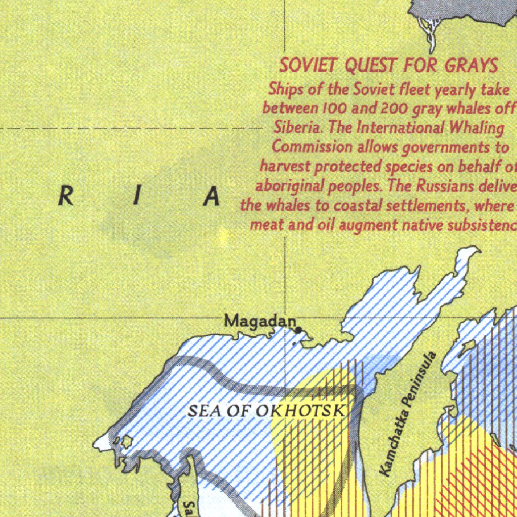Great Whales, Migration & Range Map by National Geographic | Avenza Maps