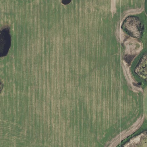 Bisbee Dam/Big Coulee - Towner County Map by North Dakota Game and Fish ...