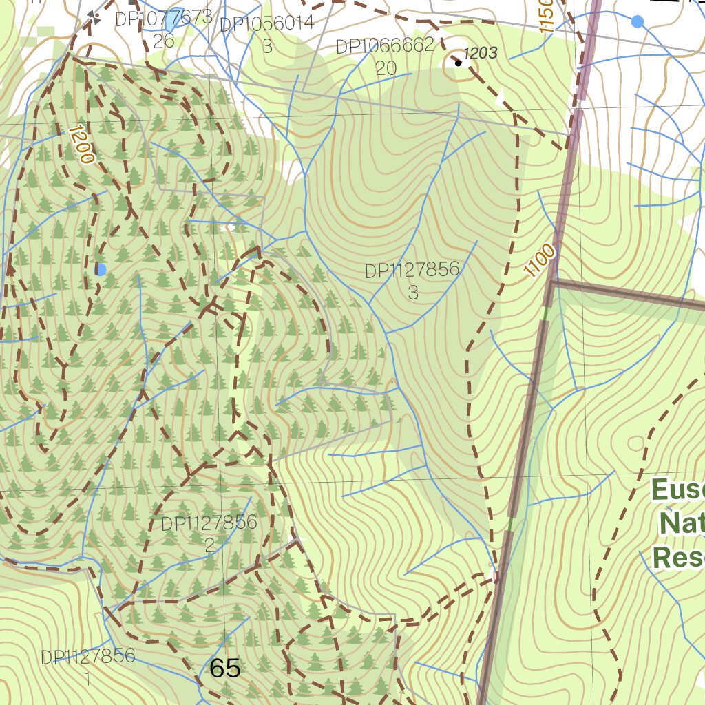 Meadow Flat 8831-2S Map by NSW Government Spatial Services | Avenza Maps