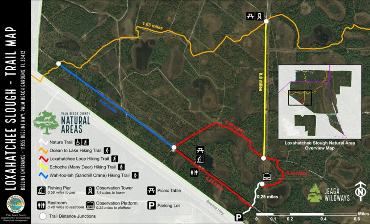 Loxahatchee Slough Natural Area - Beeline Hwy Entrance - Trail Guide ...