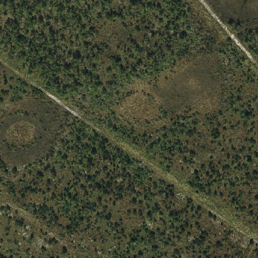 Loxahatchee Slough Natural Area - Beeline Hwy Entrance - Trail Guide ...