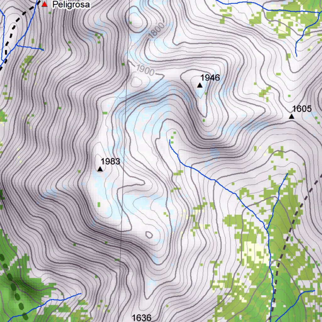 Cerro Castillo Centered 1/50.000 Map by Pixmap Cartografia Digital ...