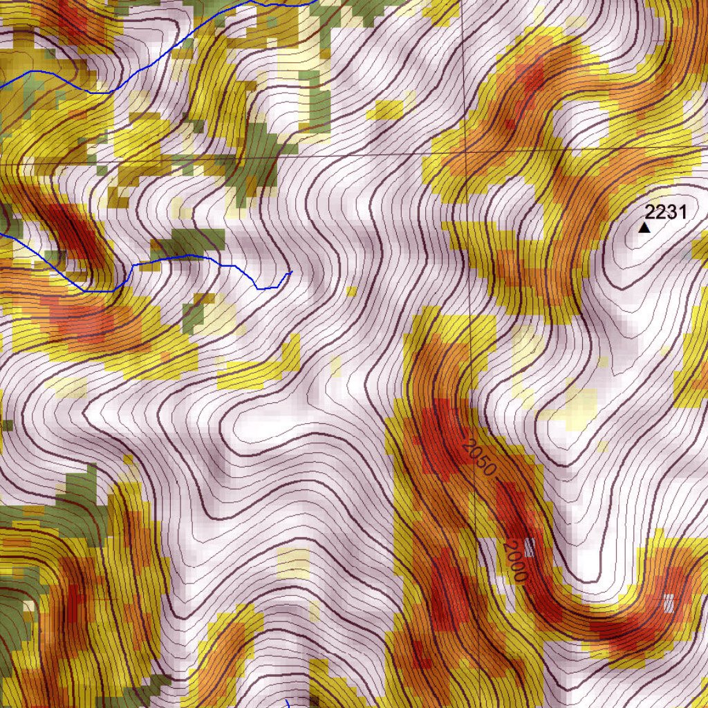 Mesada de los Baguales 1/25.000 Map by Pixmap Cartografia Digital ...