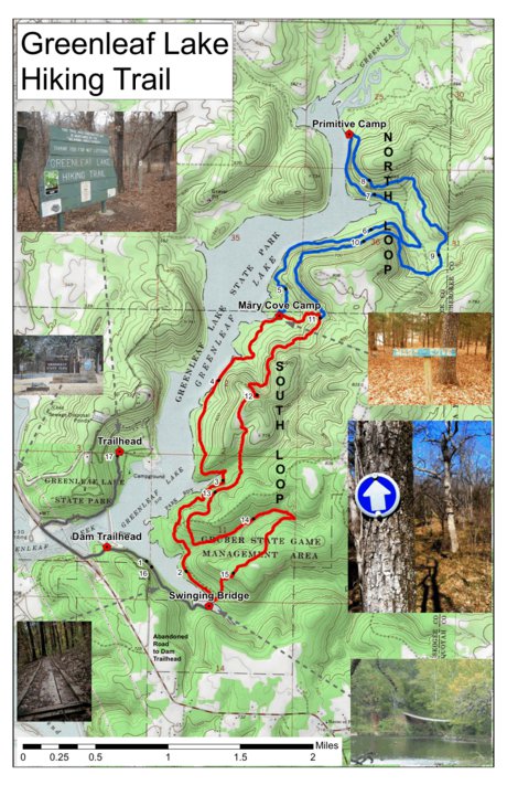 Greenleaf Hiking Trail Map by Sandy Tracks | Avenza Maps