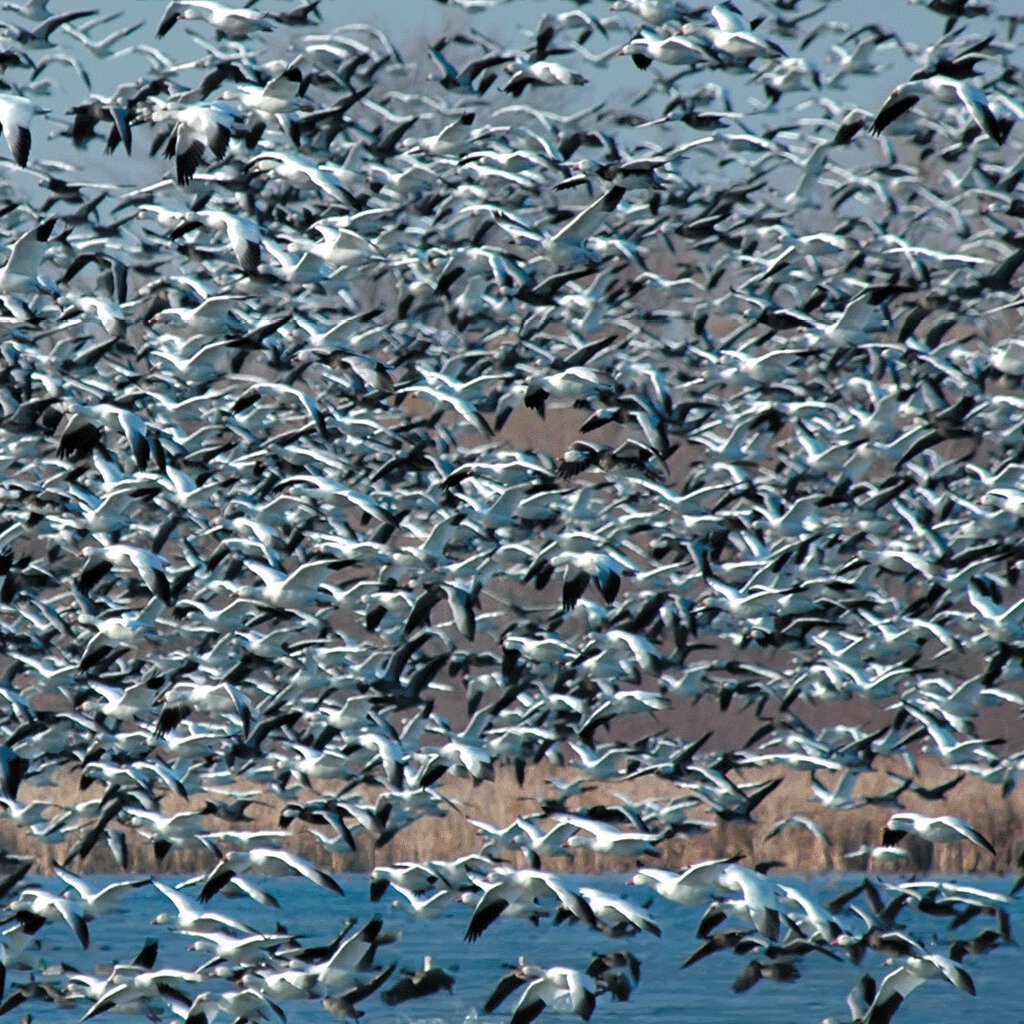 Central-Northwest MN All-Outdoors Atlas & Field Guide pg. 046-047 Map ...