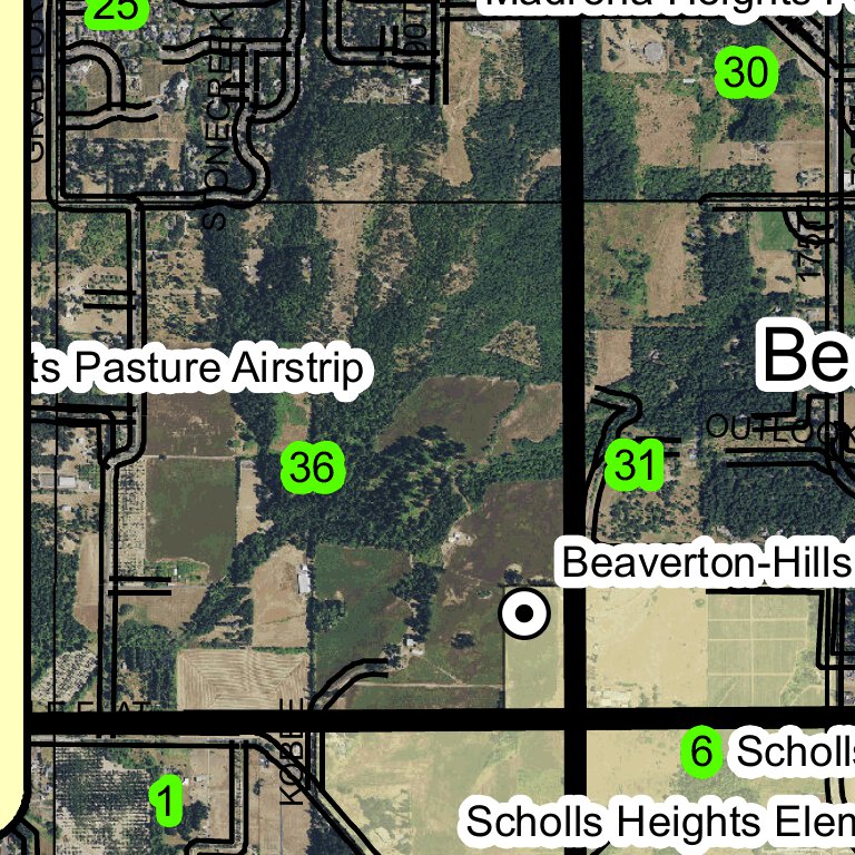 Beaverton T1S R1W Township Map by Super See Services | Avenza Maps