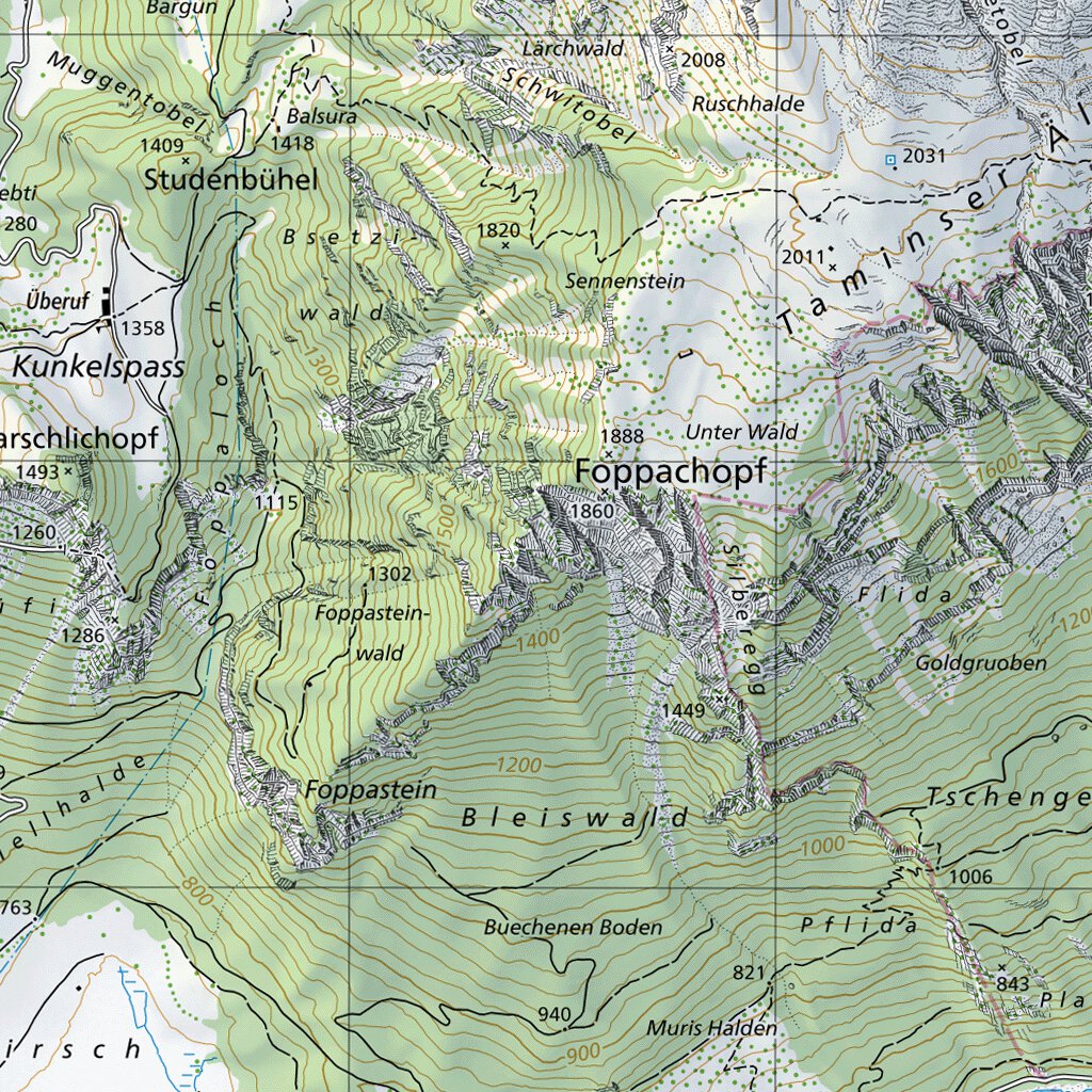 Engelberg, 1:25,000 Map by SwissTopo | Avenza Maps